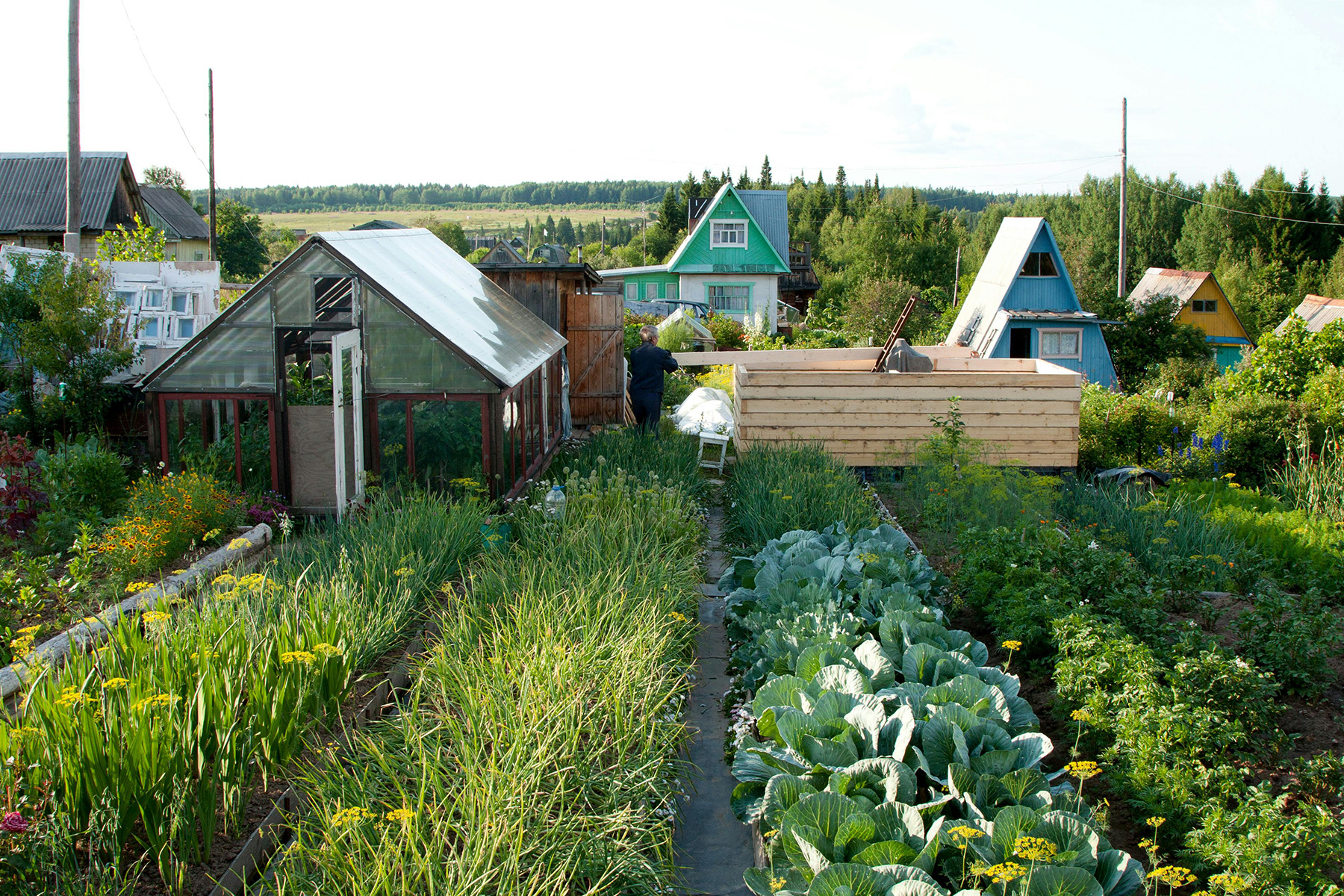 How to Build a Regenerative Garden at Home - Regenerative Action League